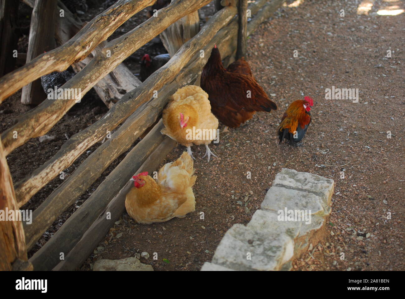 Example of old farm life at the Lyndon B Johnson State Park Stock Photo ...
