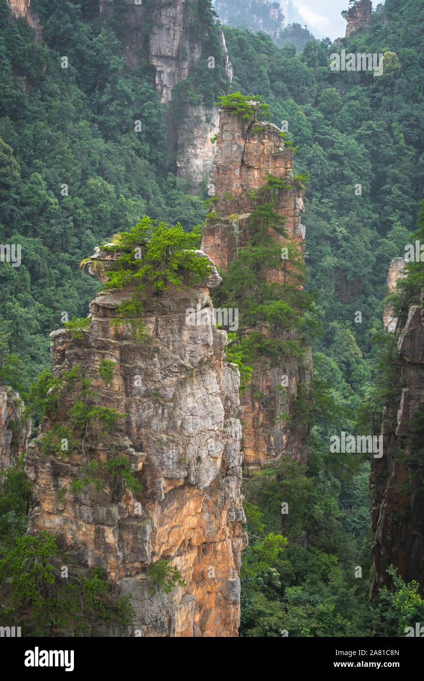 Vertical view of the stone pillars of Tianzi mountains in Zhangjiajie ...