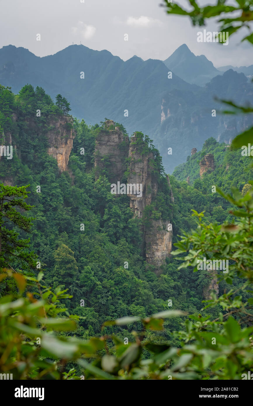 Vertical view of the stone pillars of Tianzi mountains in Zhangjiajie ...