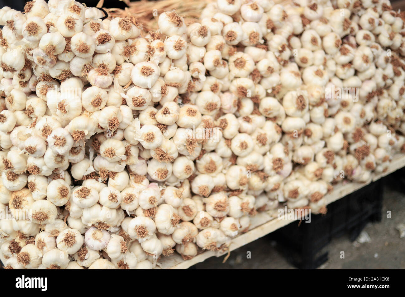 Hundreds of garlic in a market, garlic background Stock Photo - Alamy