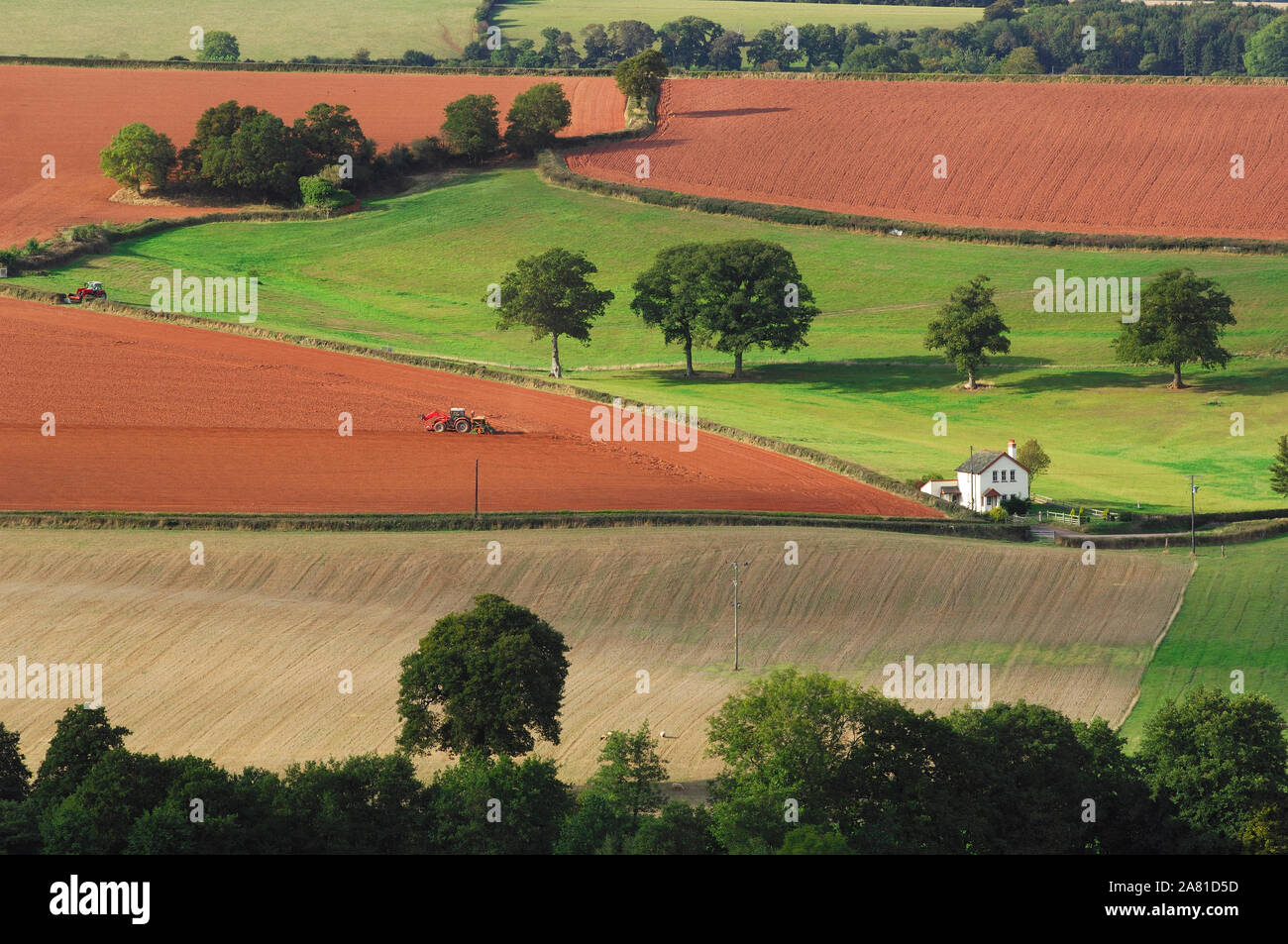 Typical devon landscape hi-res stock photography and images - Alamy