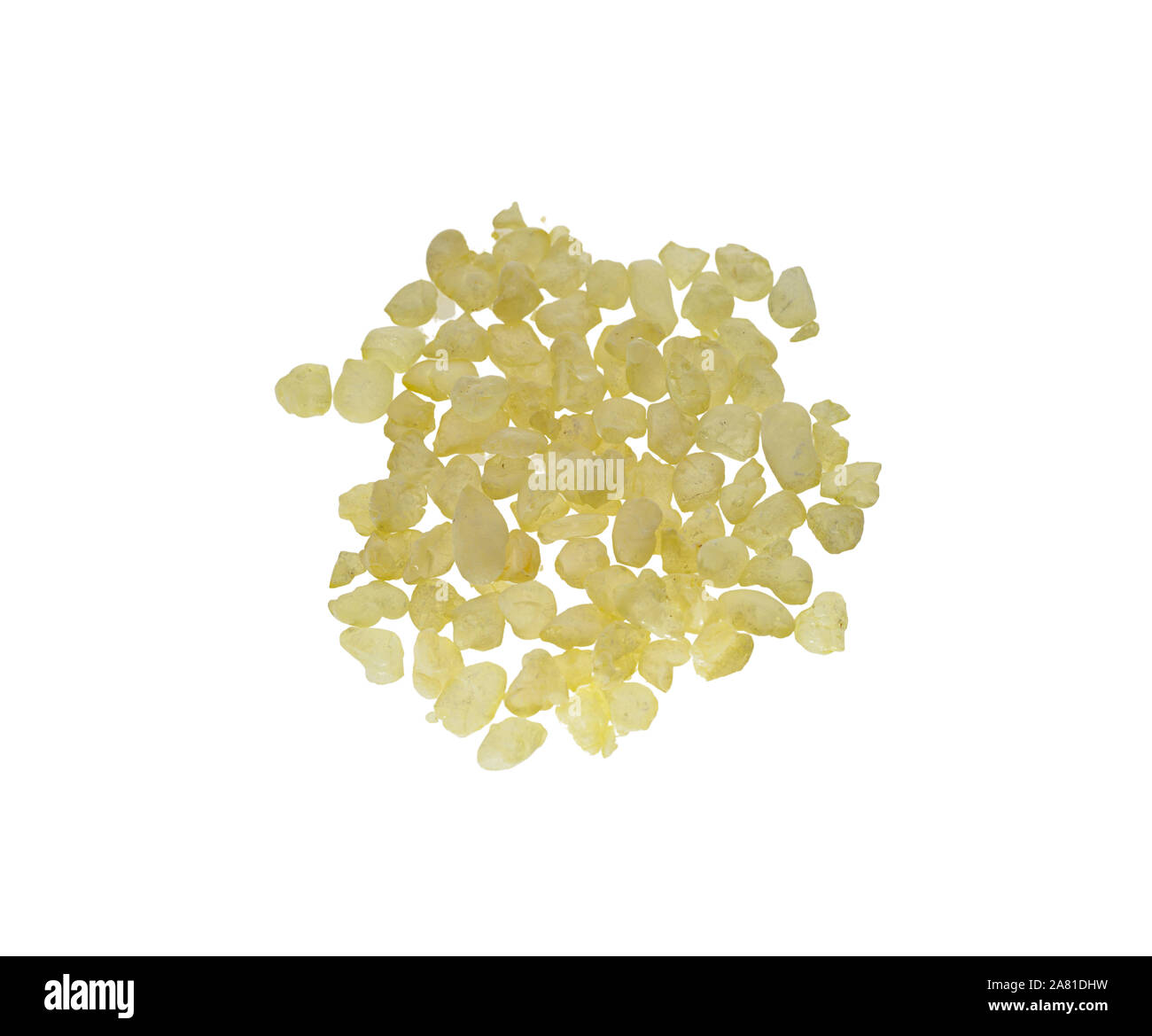 Mastic resin tears. Chios mastic isolated cutout on white background ...