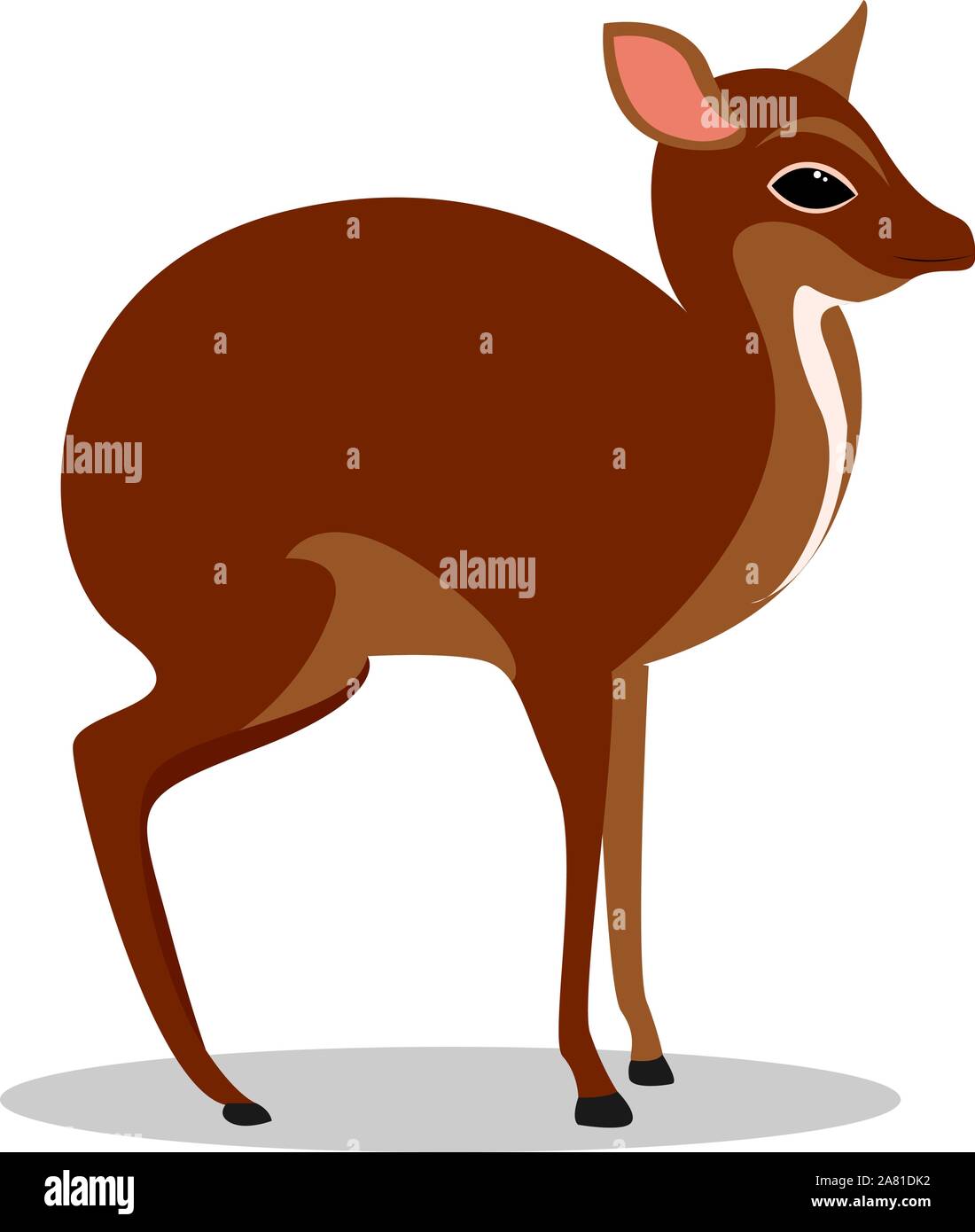 Mouse deer, illustration, vector on white background Stock Vector Image ...