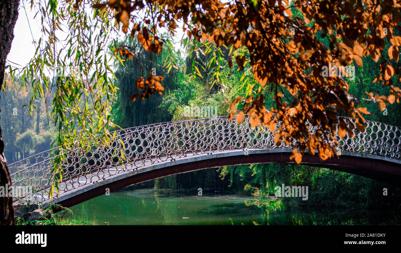 Natura bridge hi-res stock photography and images - Alamy