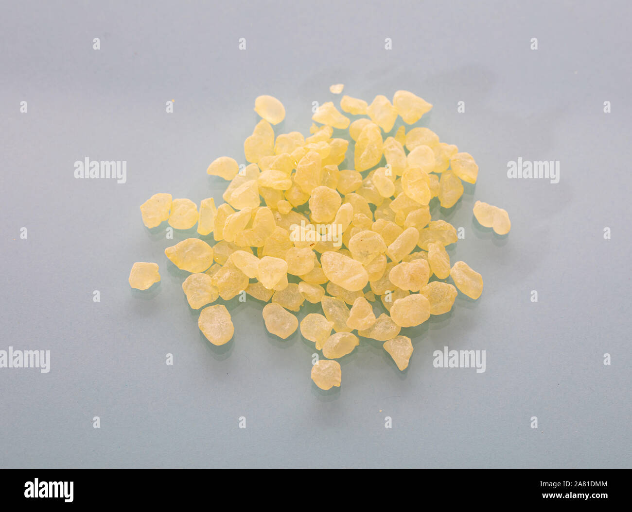 Mastic gum plant hi-res stock photography and images - Alamy