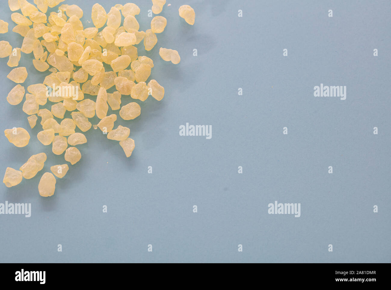 Mastic resin tears. Chios mastic on blue grey background, copy space ...