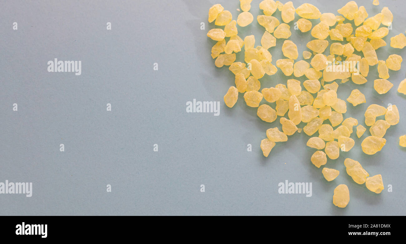 Mastic resin tears. Chios mastic on blue grey background, copy space ...