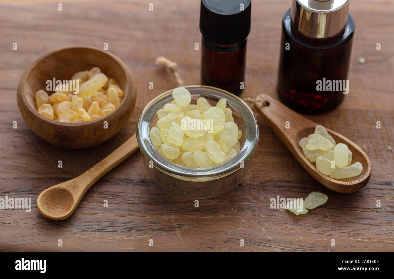 Mastic resin tears. Chios mastic in wooden bowls and essential oil on ...