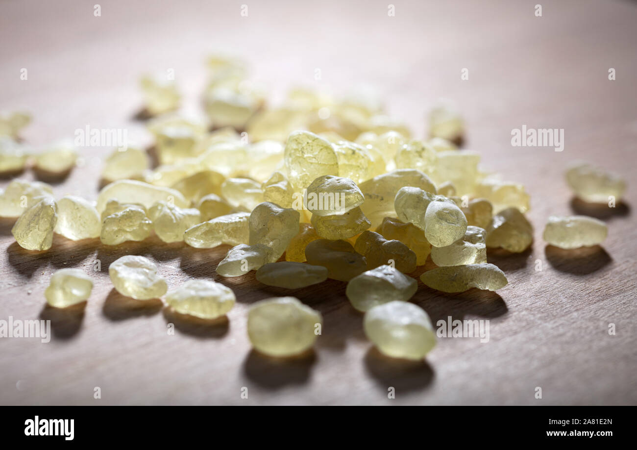 Mastic resin tears. Chios mastic isolated on wood background, closeup ...