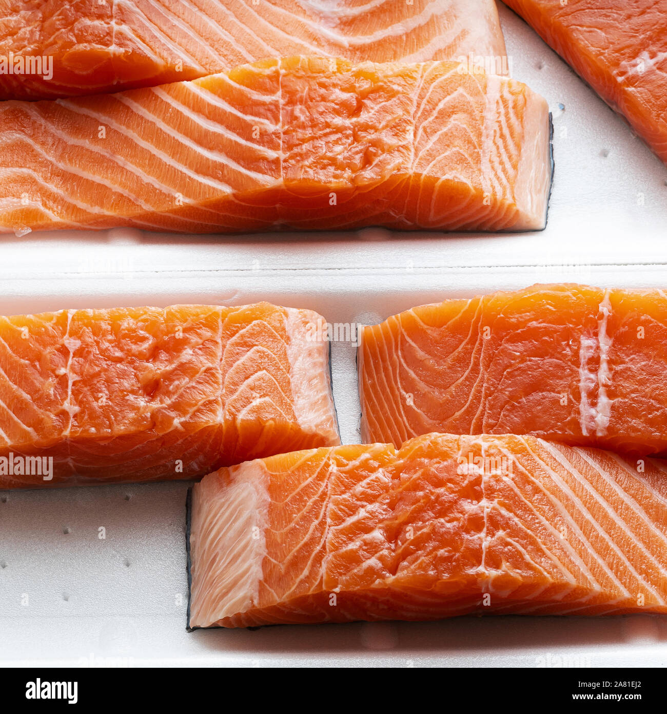 Fresh Cut Salmon