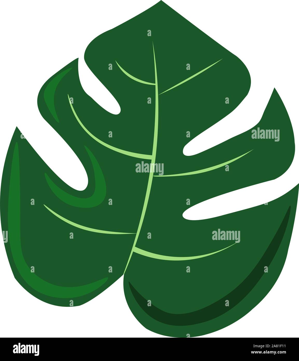 Tropical leaf, illustration, vector on white background Stock Vector ...