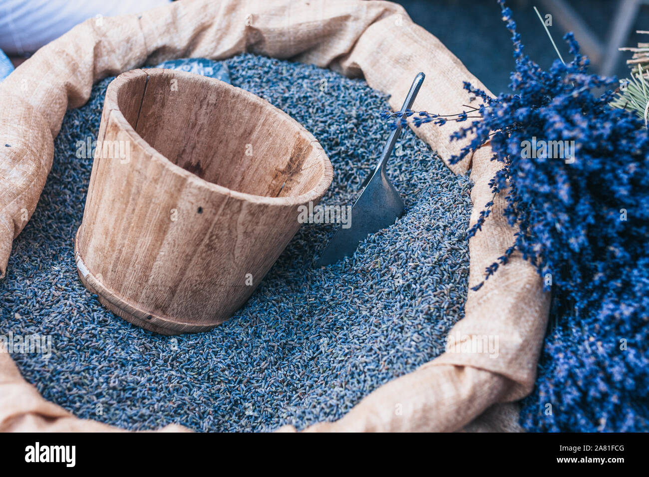 Lavender fruits in a bag Stock Photo - Alamy