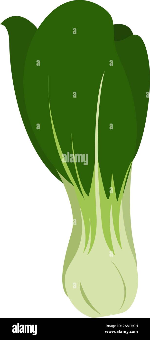 Fresh chinese bok choy Stock Vector Images - Alamy