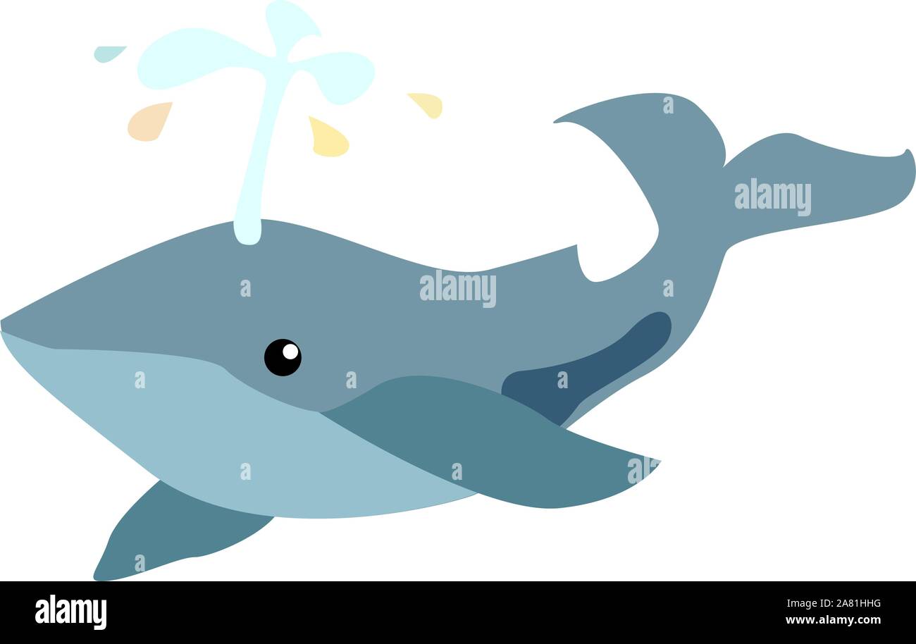 Cetacea, illustration, vector on white background Stock Vector Image ...