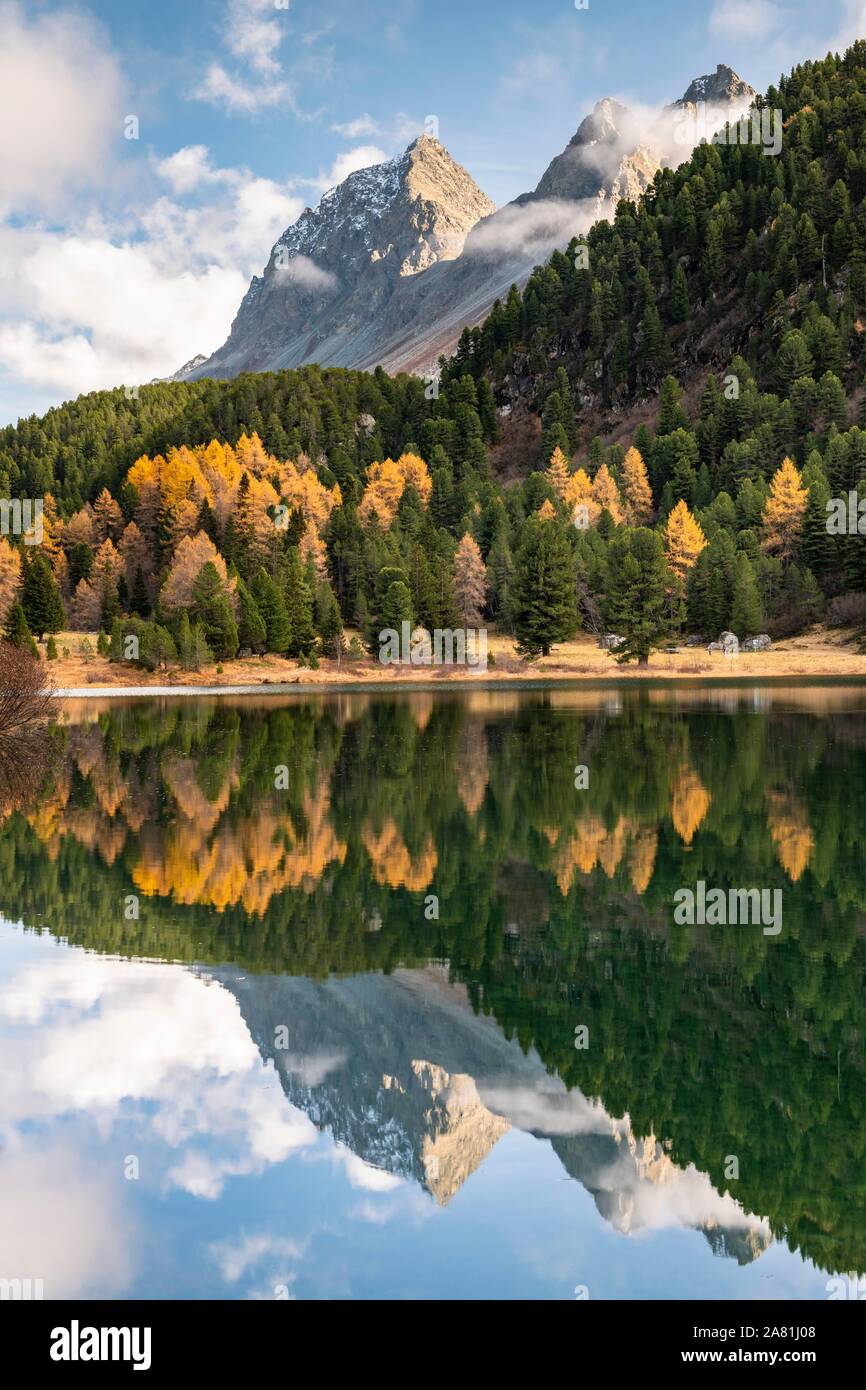 Autumn forest in switzerland hi-res stock photography and images - Alamy