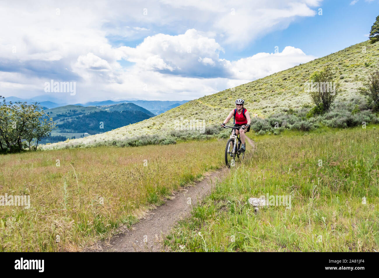 Buck loop hi-res stock photography and images - Alamy