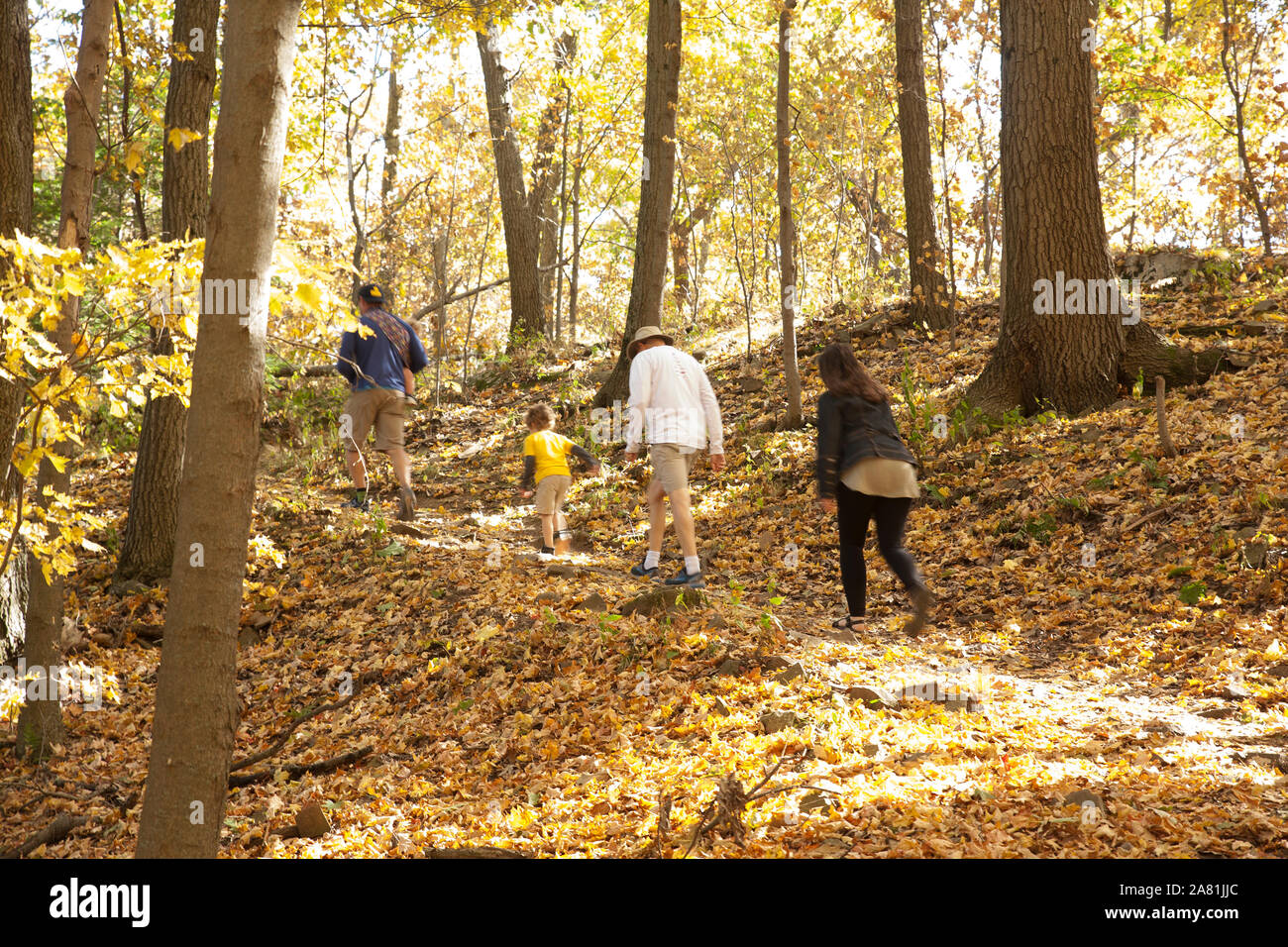 A multigenerational family hikes up Skinner State Park trail on Mount ...