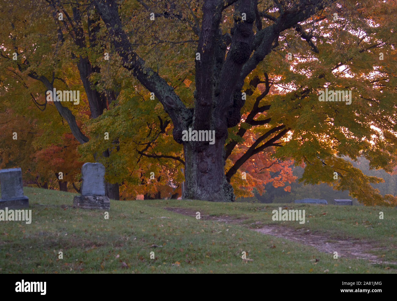 Beautiful, colorful fall trees stand over old tombstones on the edge of ...