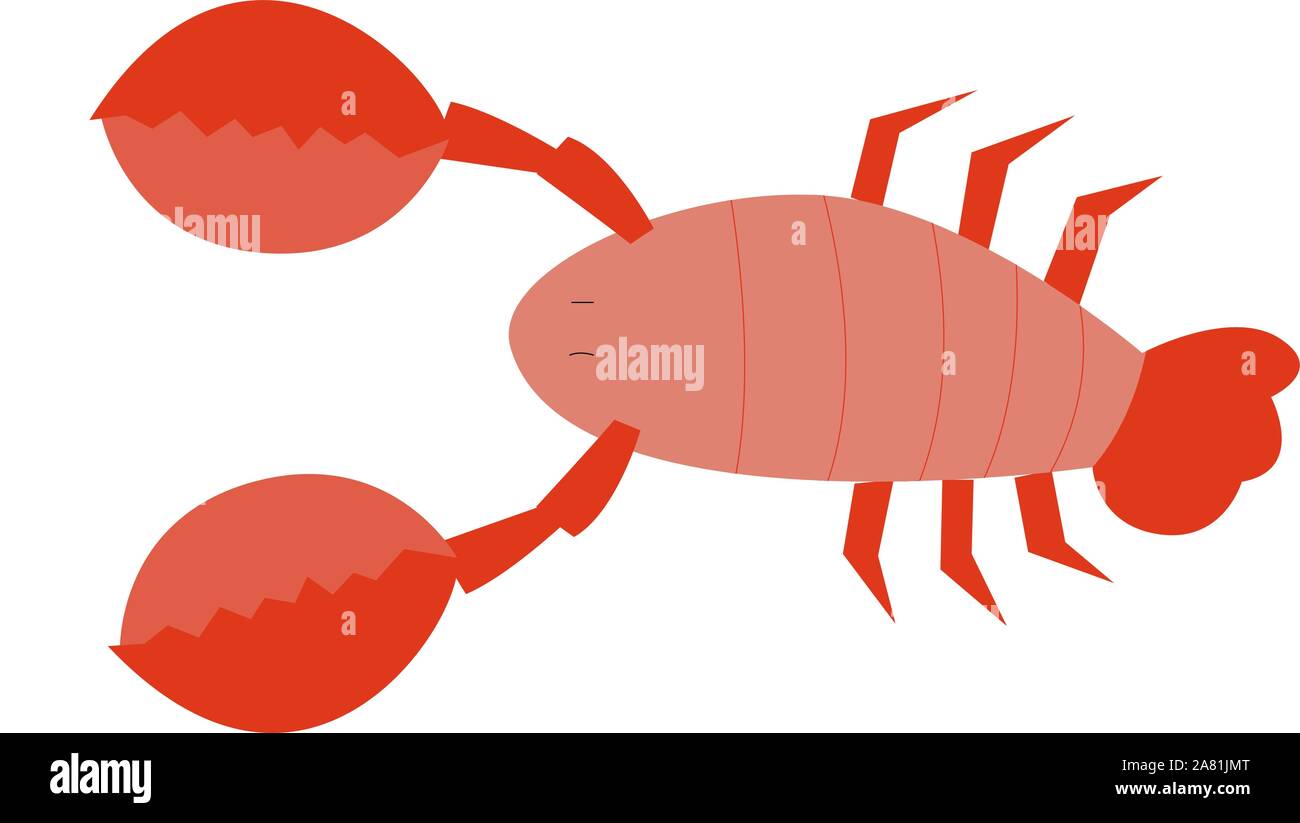 Red crab, illustration, vector on white background Stock Vector Image ...