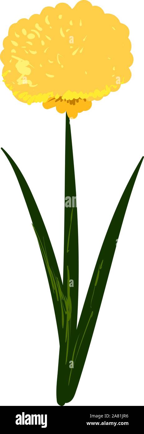 Dandelion field flower Stock Vector Images - Alamy