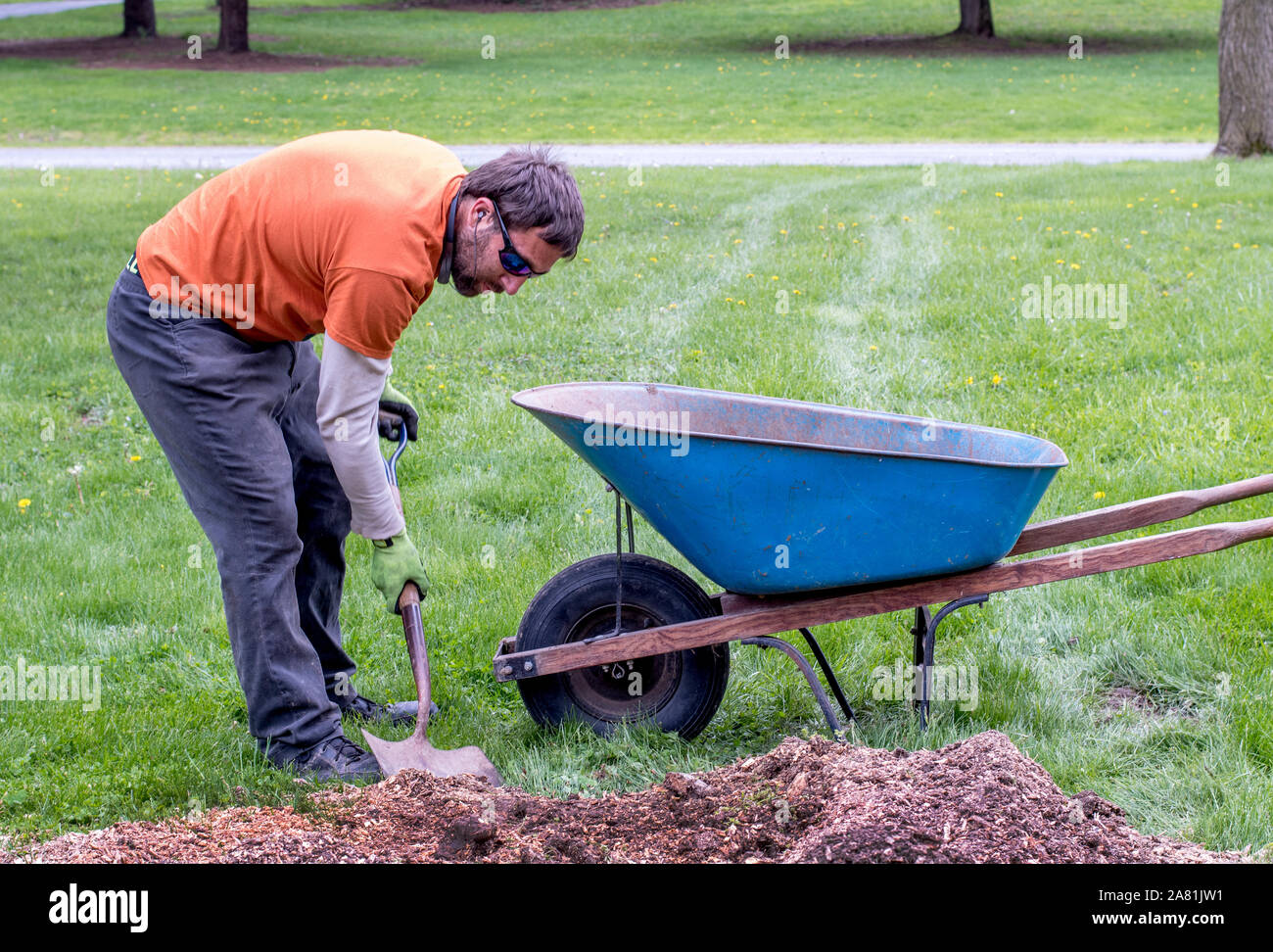 young man cleans up saw dust and mulch from a tree stump that was ...
