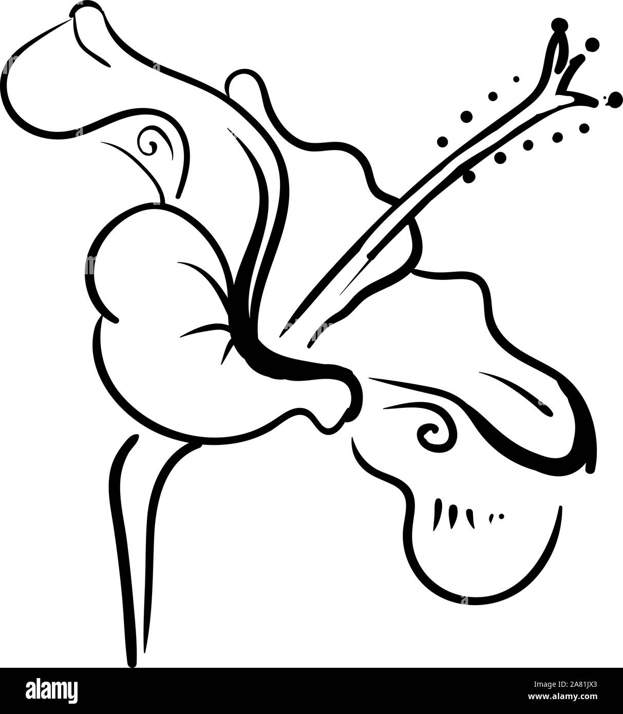 Hibiscus drawing, illustration, vector on white background Stock Vector ...