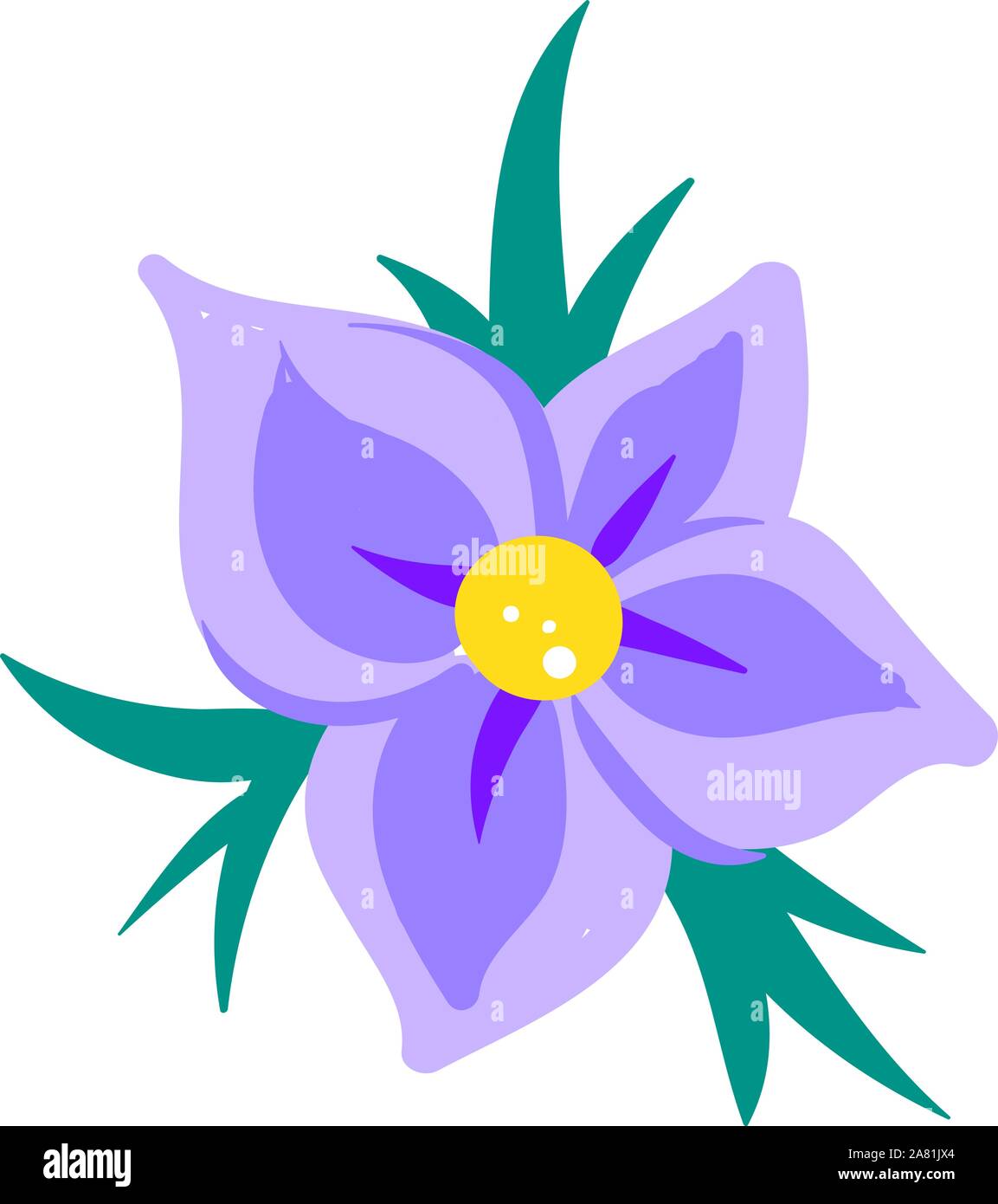 Flat jasmine, illustration, vector on white background Stock Vector ...