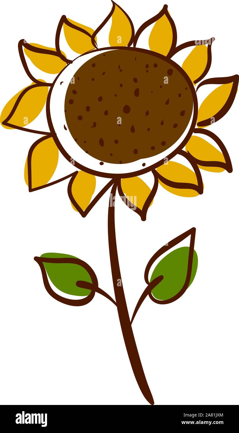 Sunflower drawing hi-res stock photography and images - Alamy
