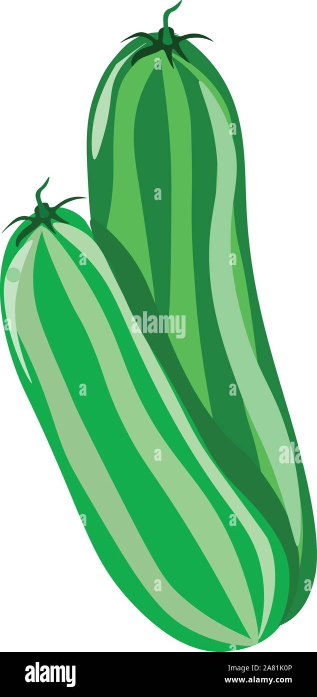 Cucumbers vector vectors hi-res stock photography and images - Alamy