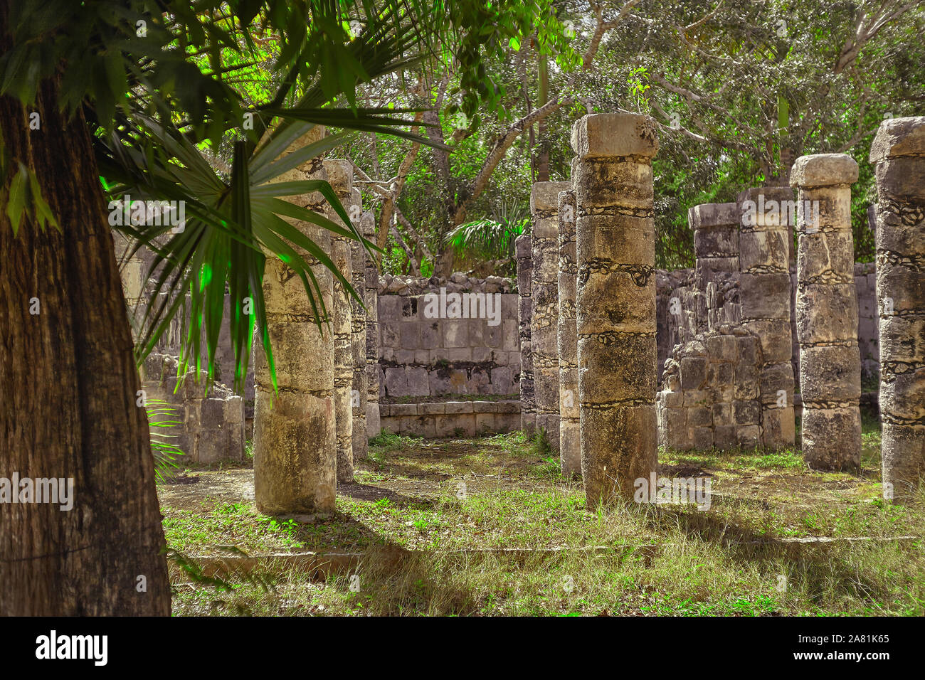 Mayan Columns and Tropical Vegertation Stock Photo - Alamy