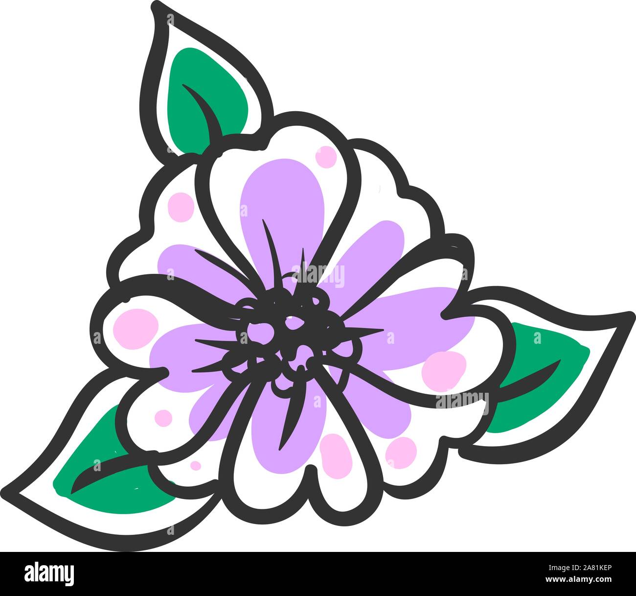 Jasmine drawing, illustration, vector on white background Stock Vector ...