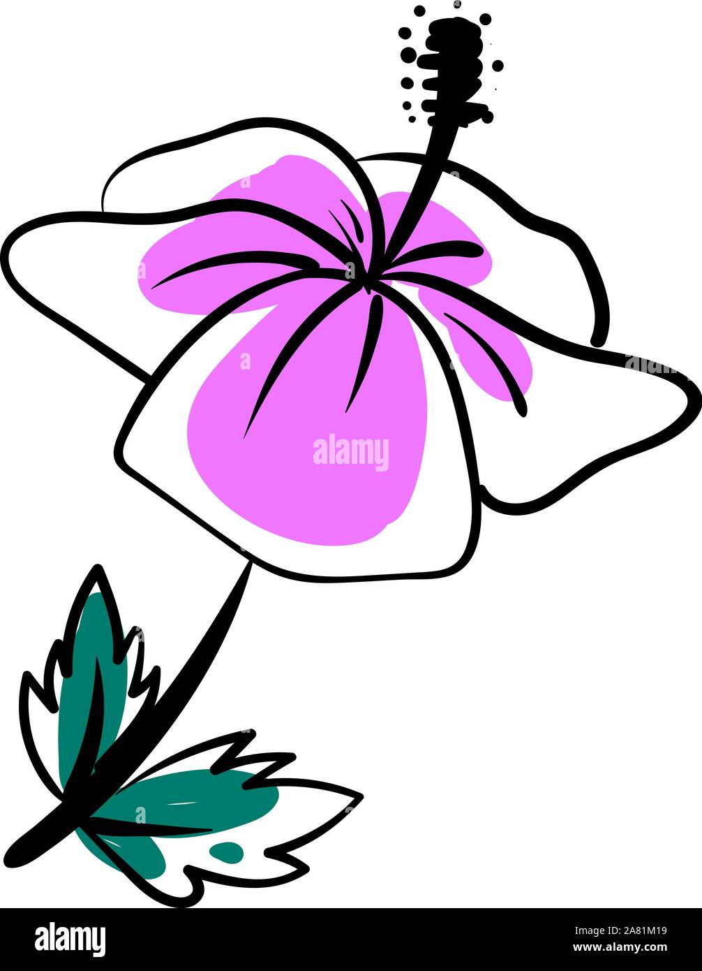 Hibiscus drawing, illustration, vector on white background Stock Vector ...