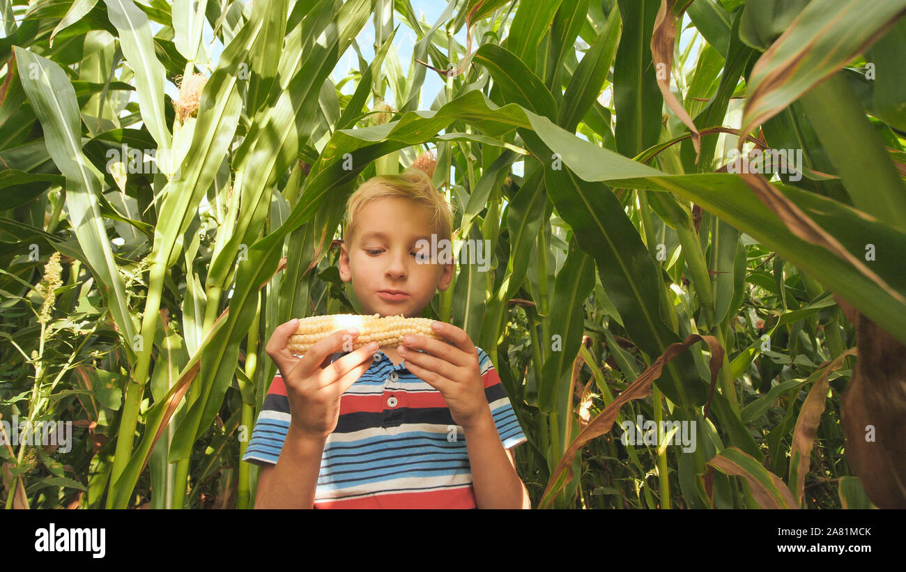 Boy eating corn in a corn field Stock Photo - Alamy