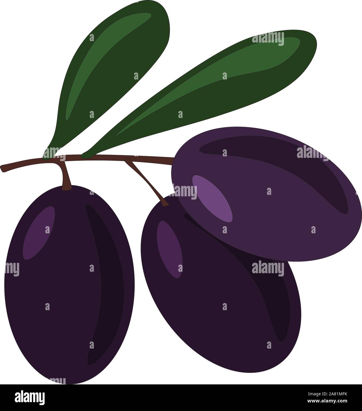 Green olive branch banner Stock Vector Images - Alamy