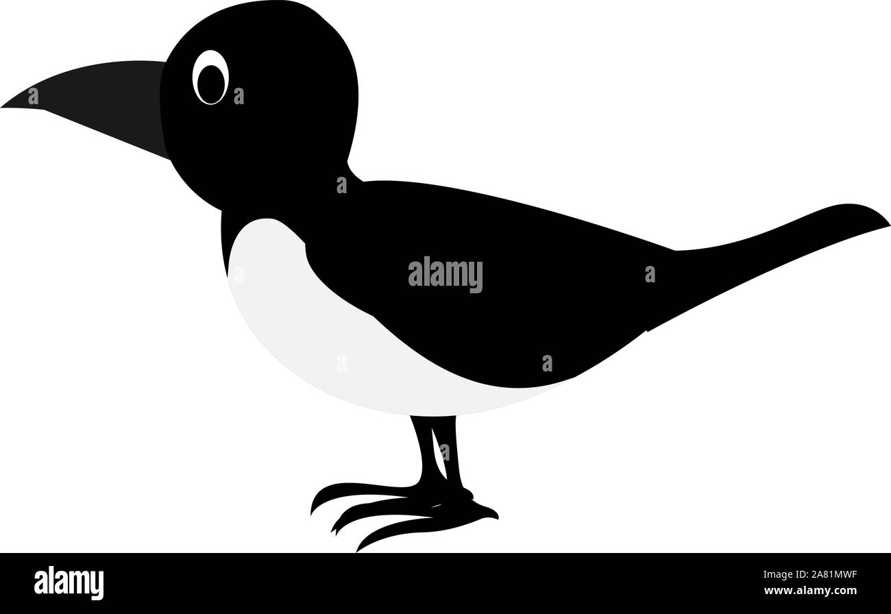 Magpie, illustration, vector on white background Stock Vector Image ...