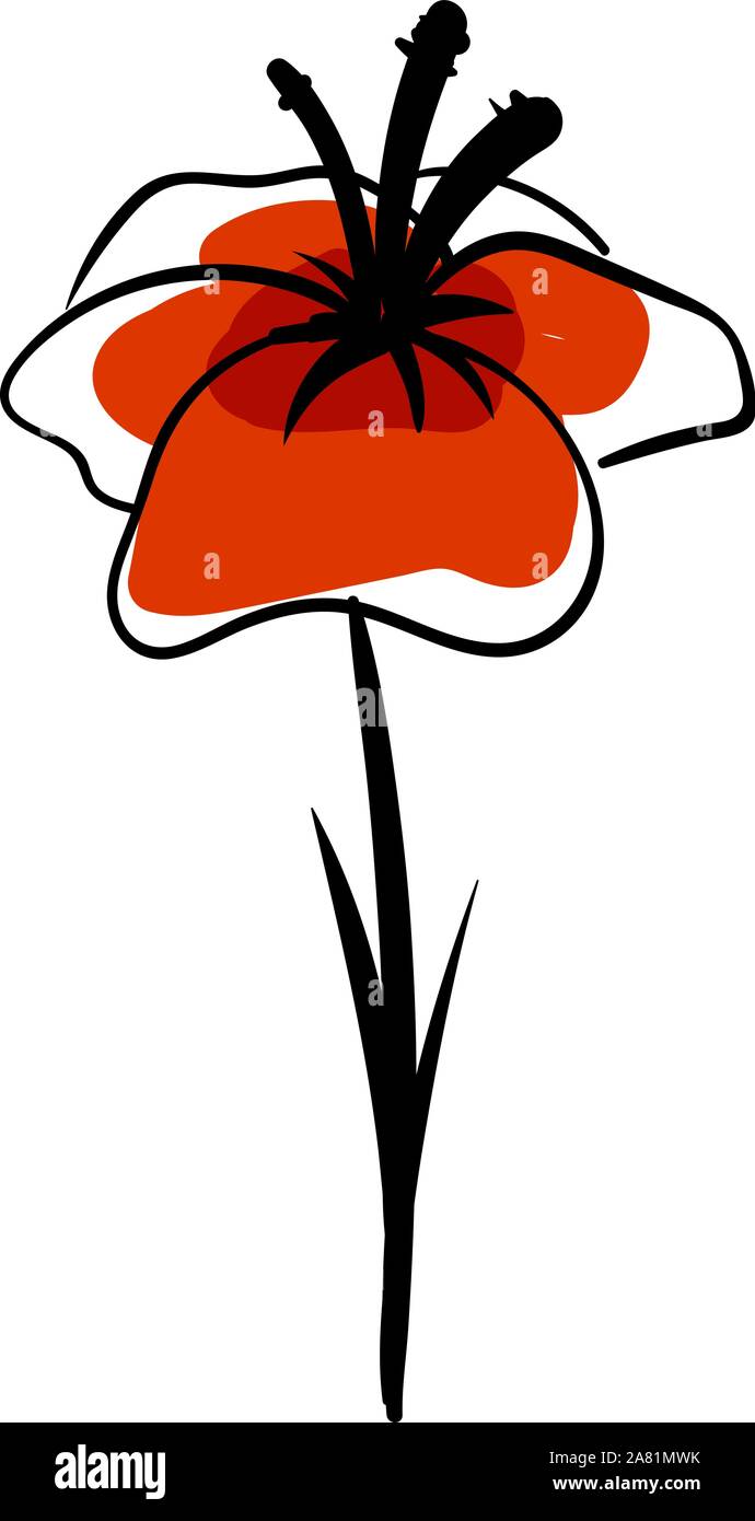 Hand drawing poppy flower Stock Vector Images - Alamy