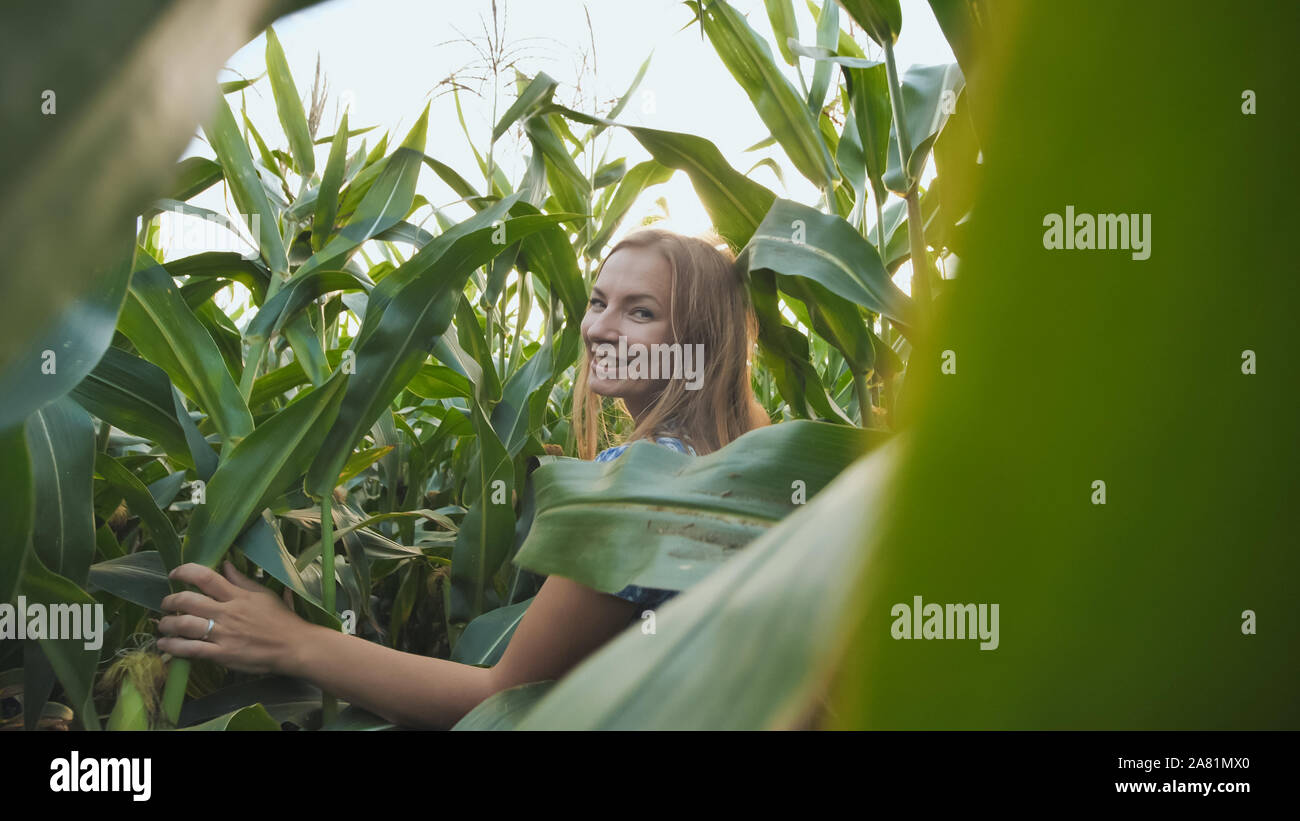 A girl walks through a corn field Stock Photo - Alamy