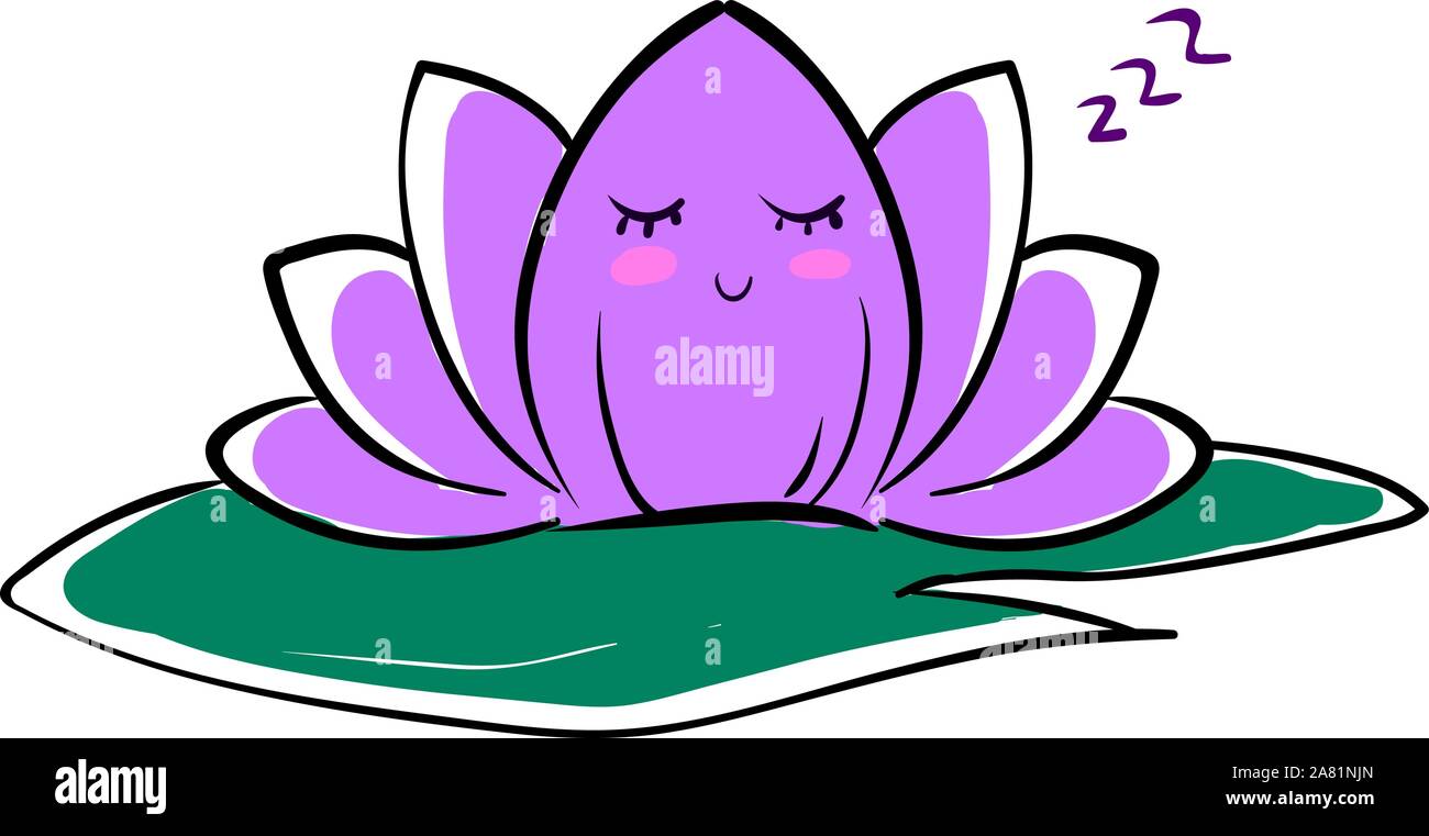Purple lotus, illustration, vector on white background Stock Vector ...