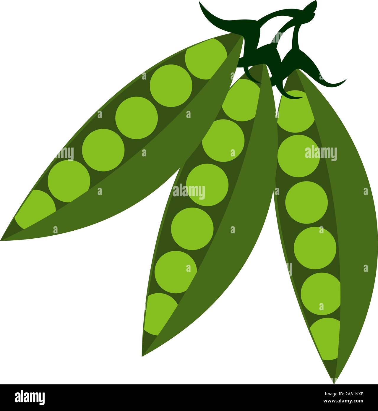 Fresh peas, illustration, vector on white background Stock Vector Image ...
