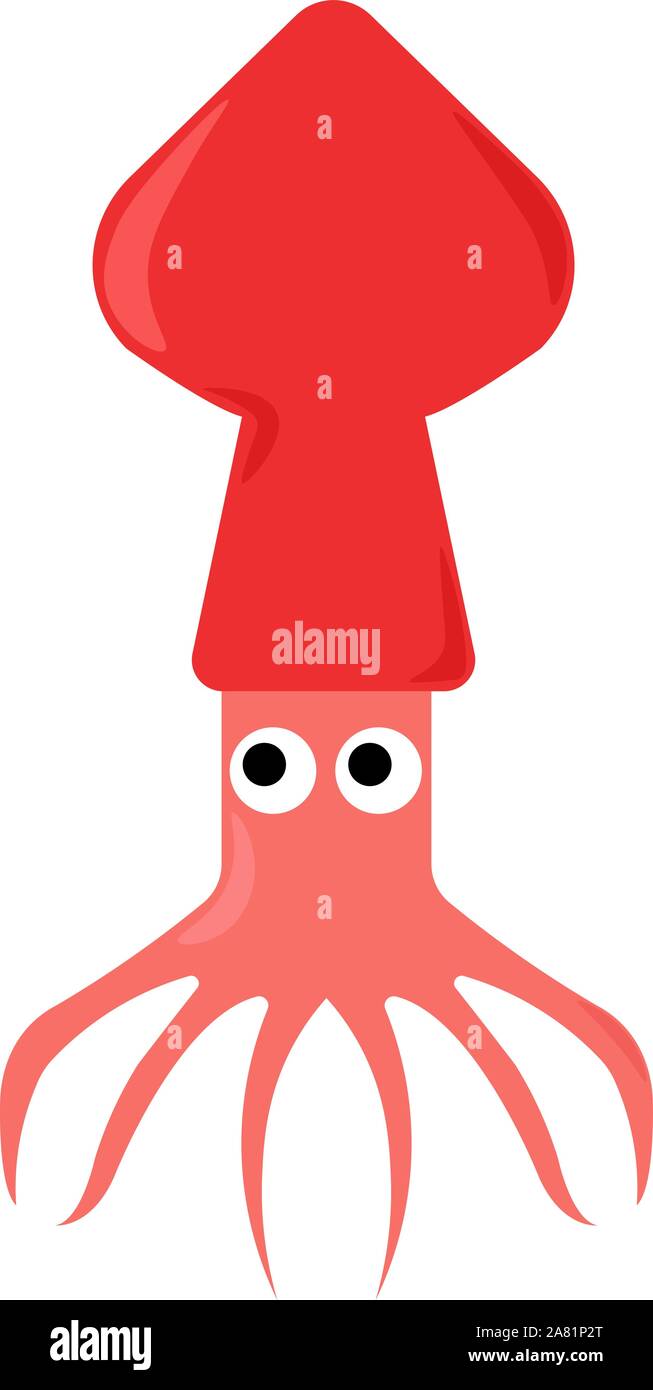 Red squid, illustration, vector on white background Stock Vector Image ...