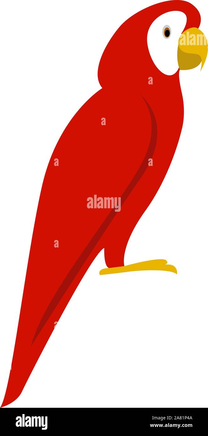 Red parrot, illustration, vector on white background Stock Vector Image ...