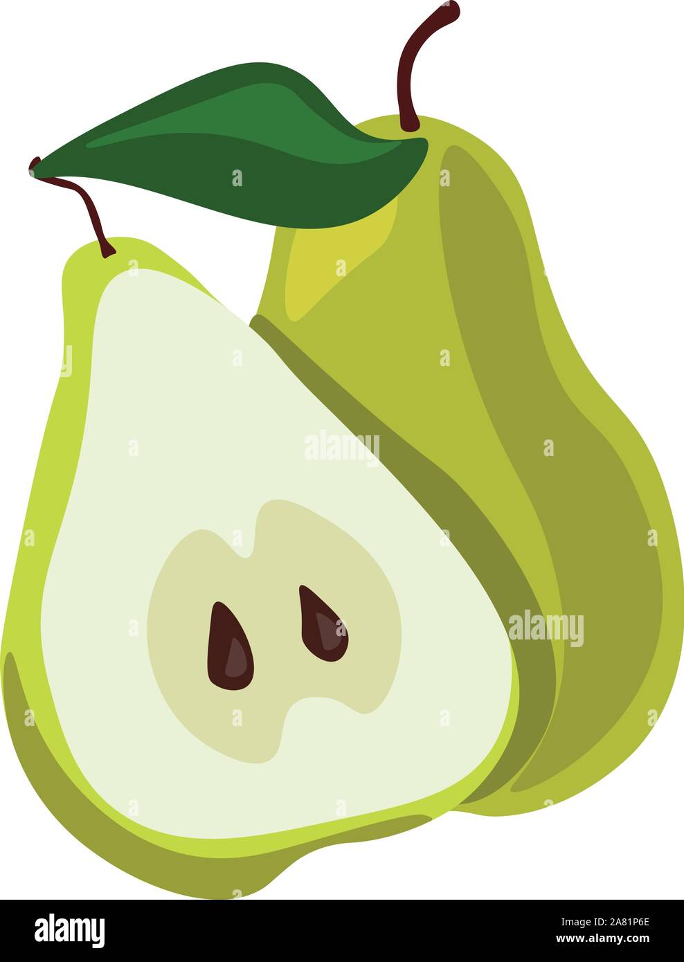 Pear in half, illustration, vector on white background Stock Vector ...