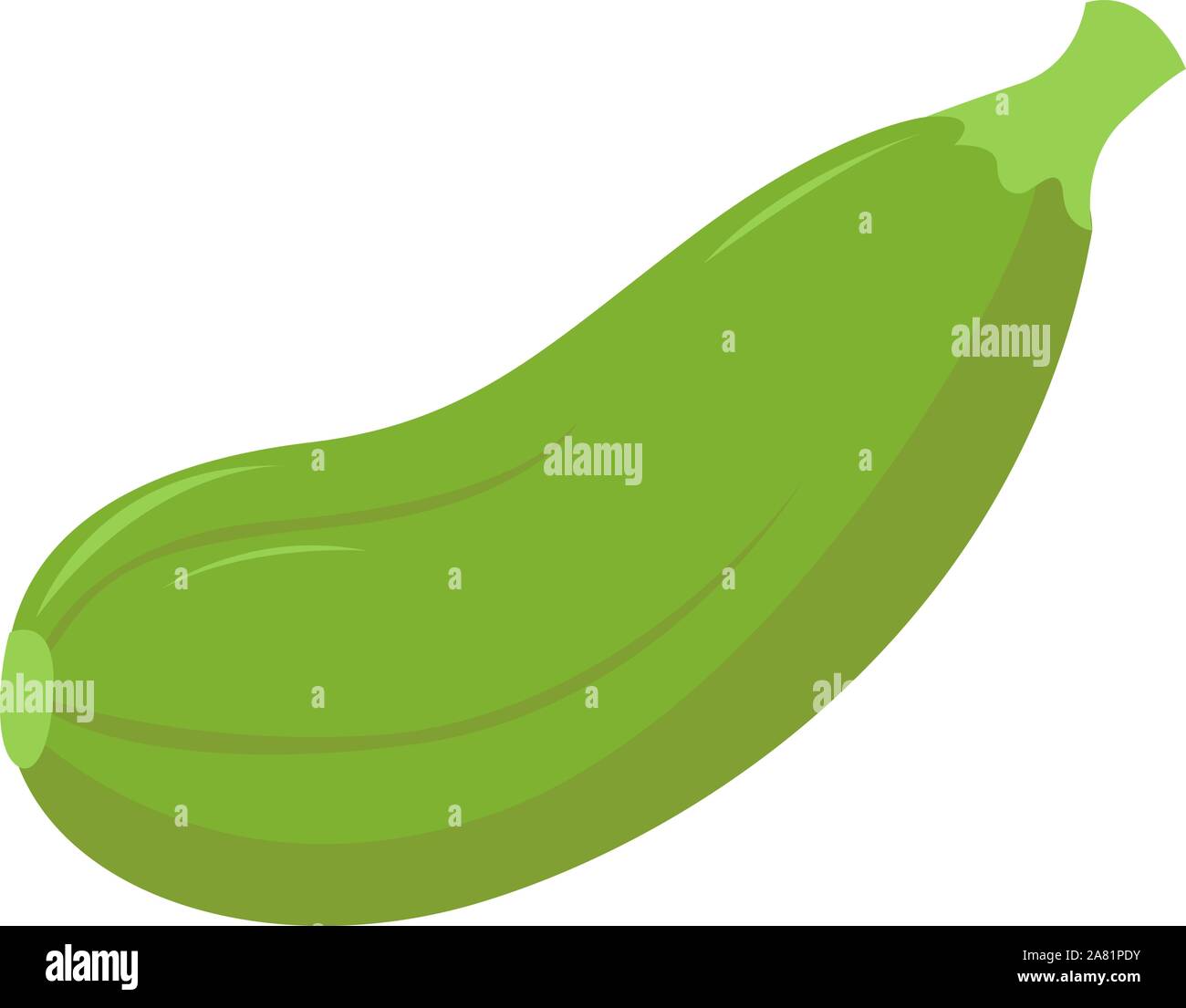 Squash, illustration, vector on white background Stock Vector Image ...