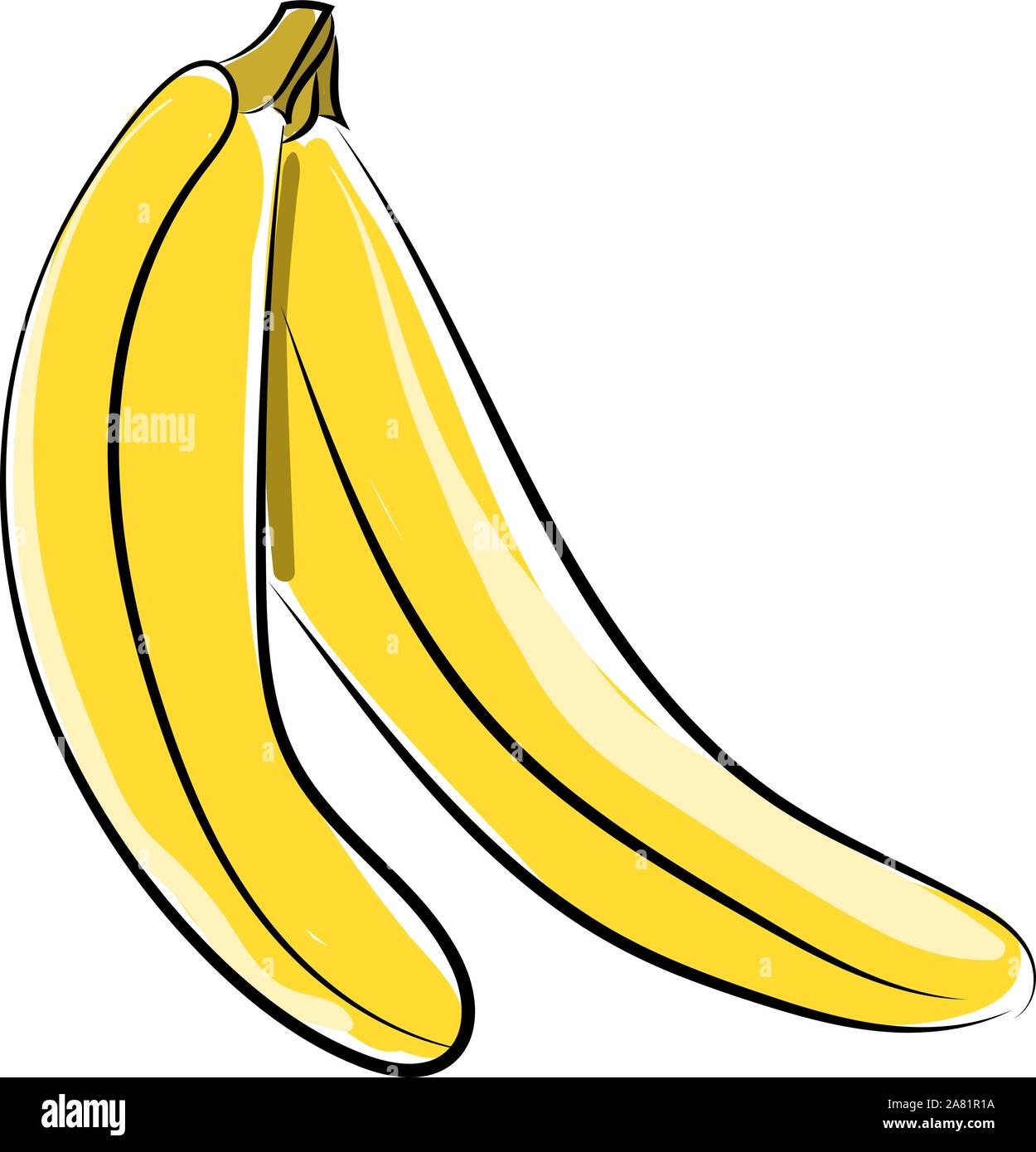 Raw bananas bunch on Stock Vector Images - Alamy