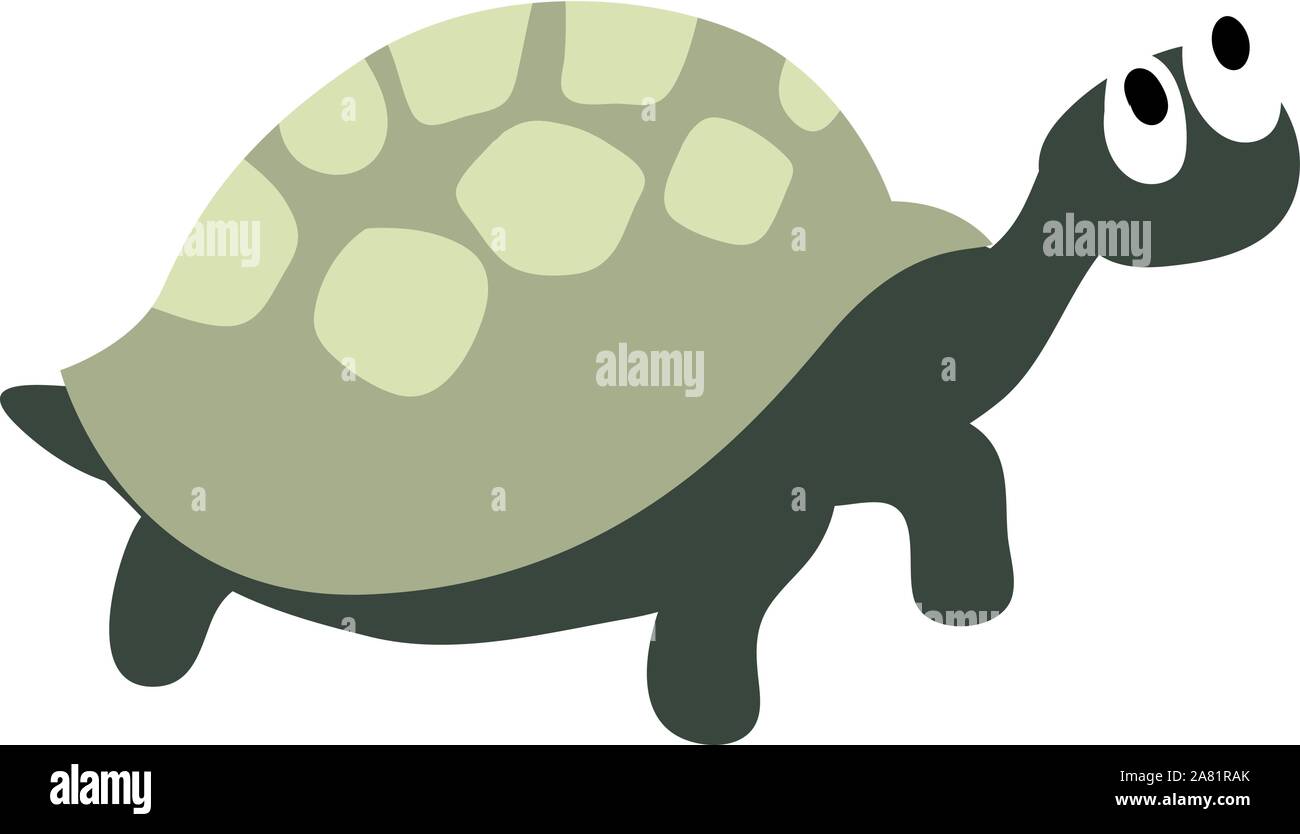 Turtle, illustration, vector on white background Stock Vector Image ...