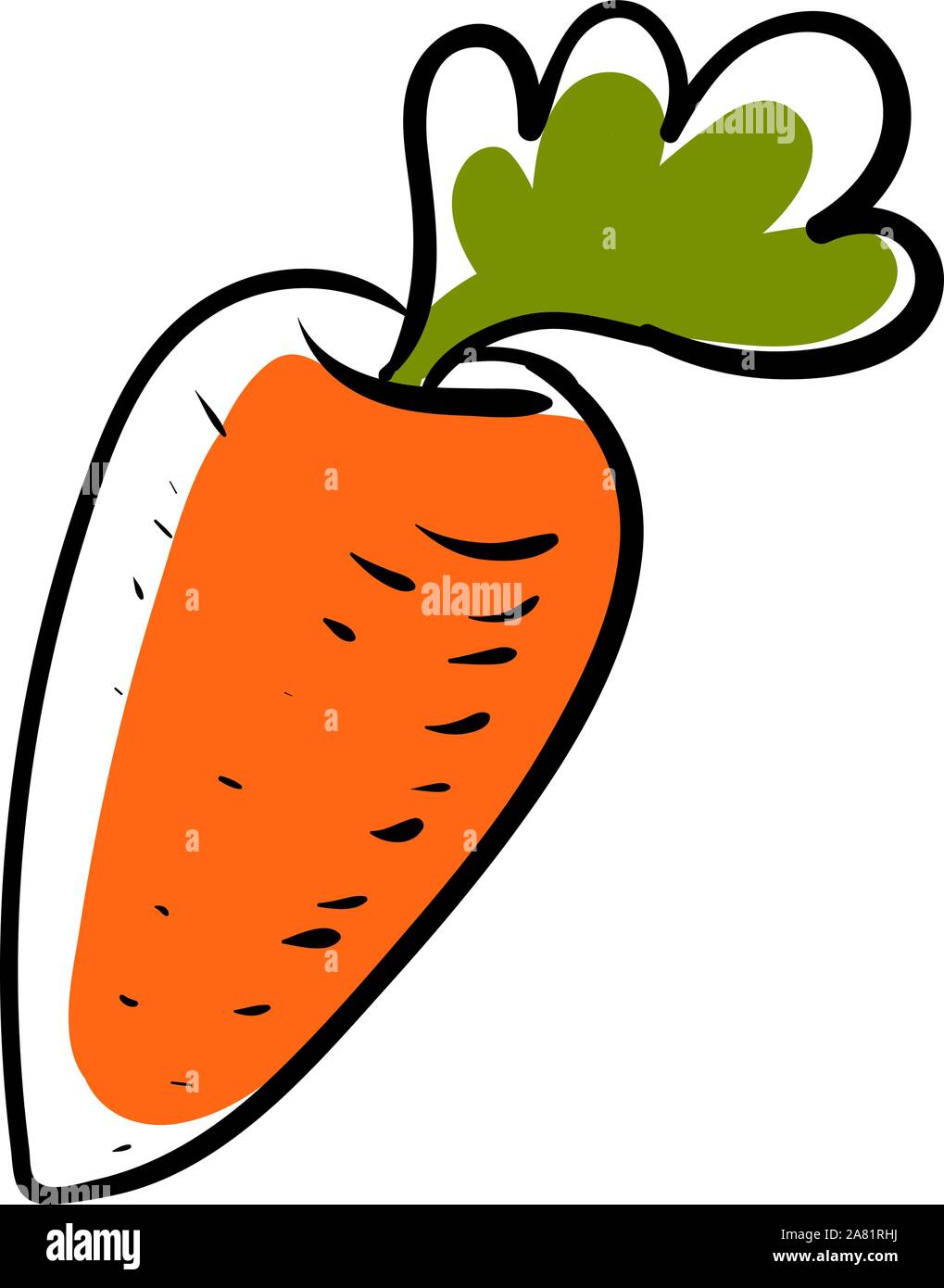 Carrot drawing, illustration, vector on white background Stock Vector ...