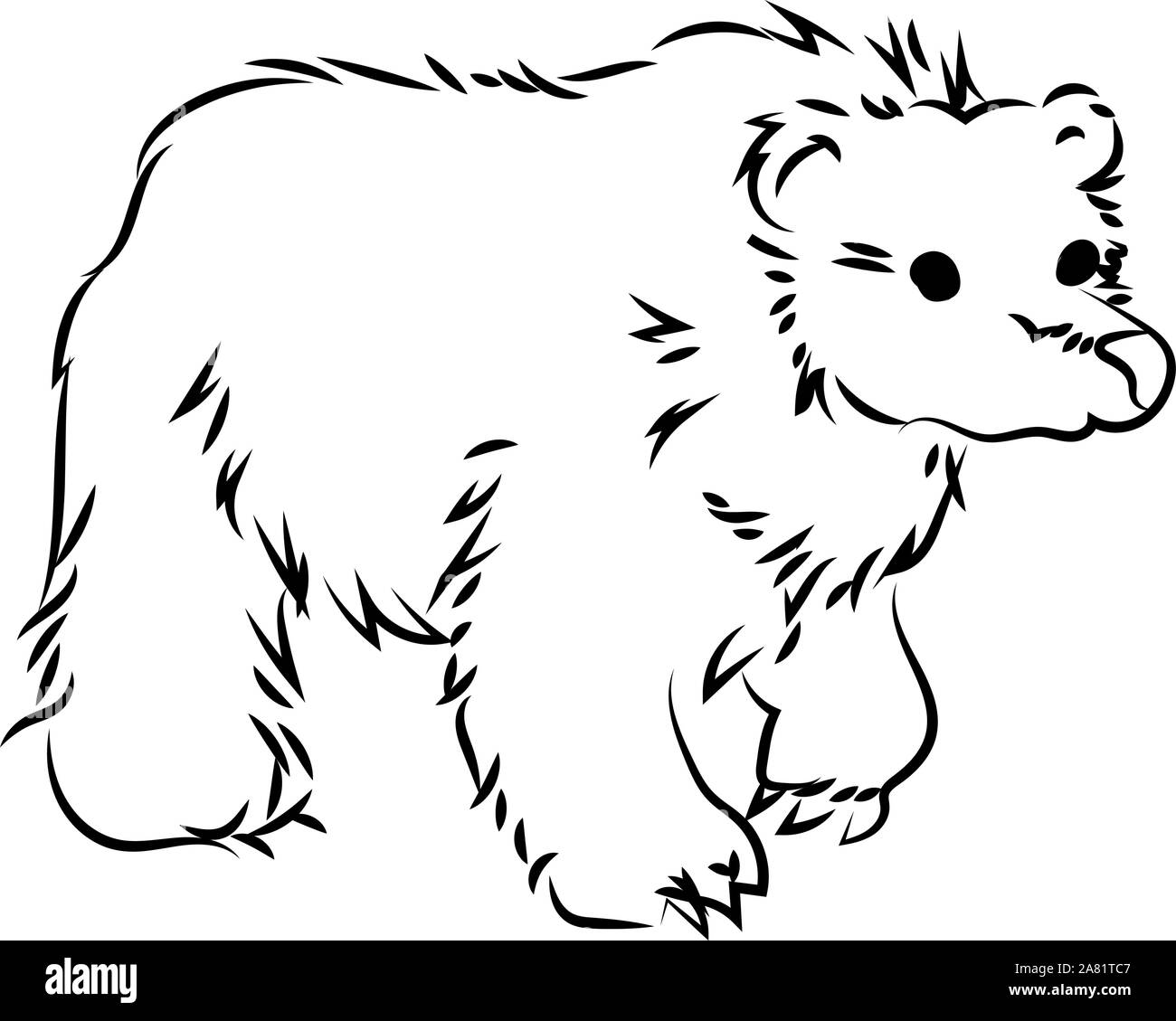 Bear sketch, illustration, vector on white background Stock Vector ...