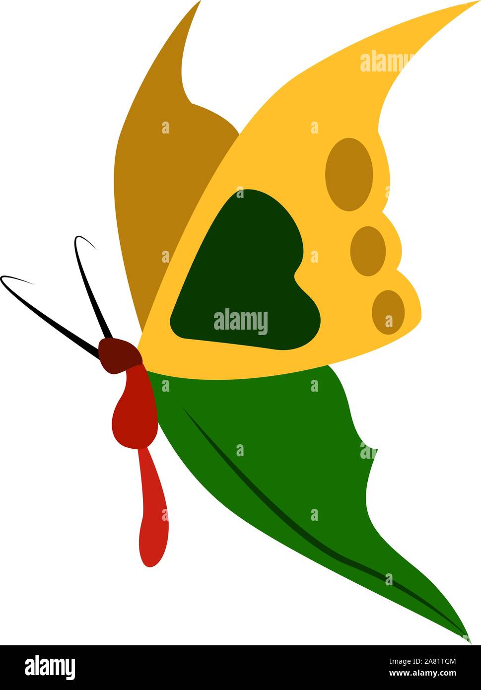 Green butterfly, illustration, vector on white background Stock Vector ...