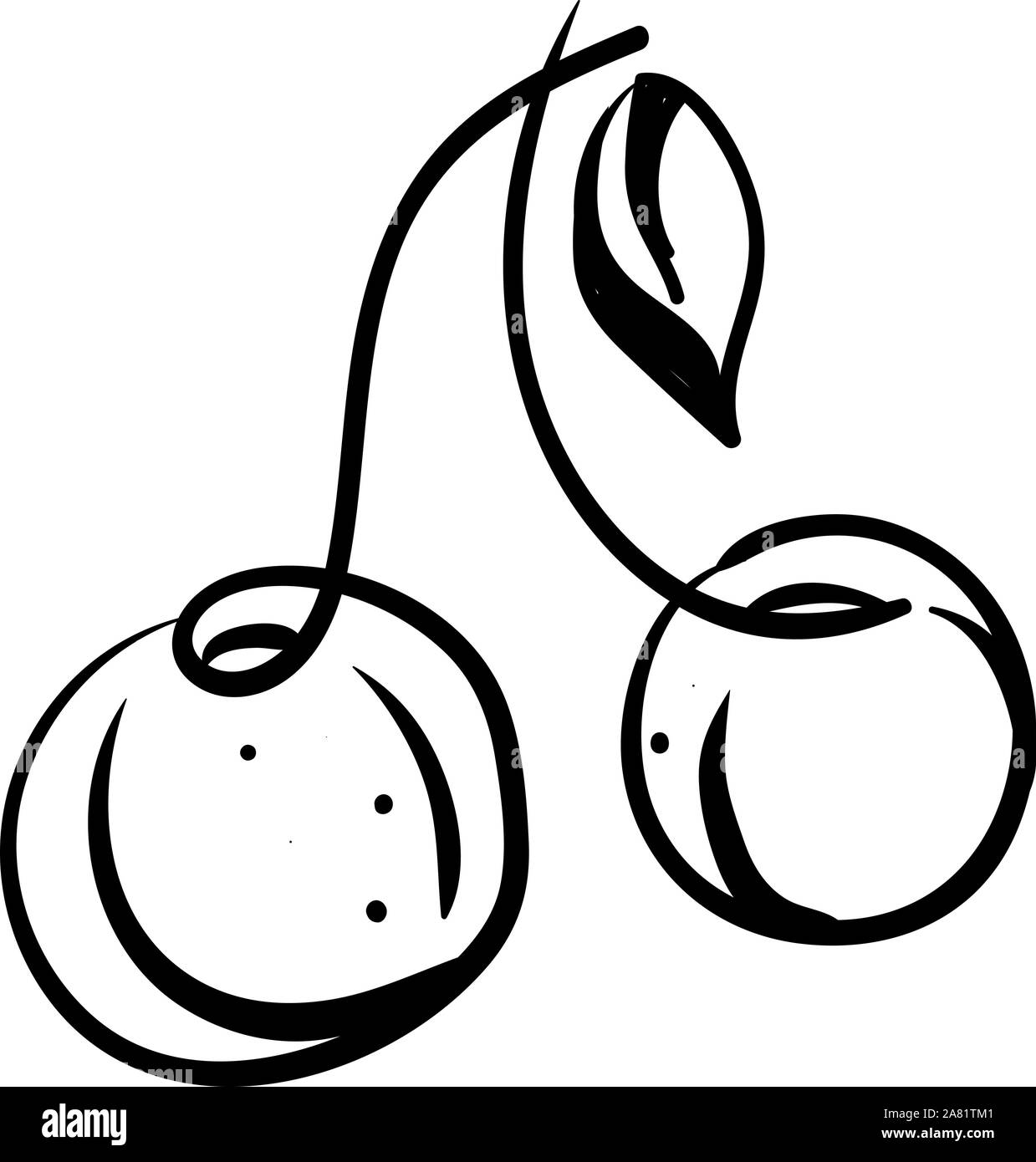 Cherry sketch, illustration, vector on white background Stock Vector ...