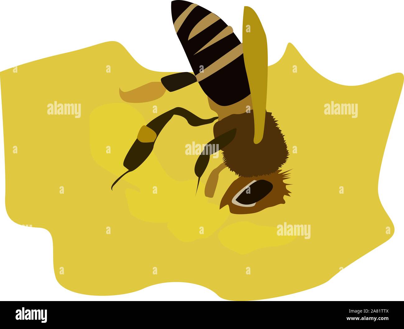 Bee gathering nectar, illustration, vector on white background Stock ...